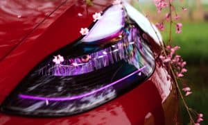 She's Got the Flair: Bree's Customized Tesla Model 3